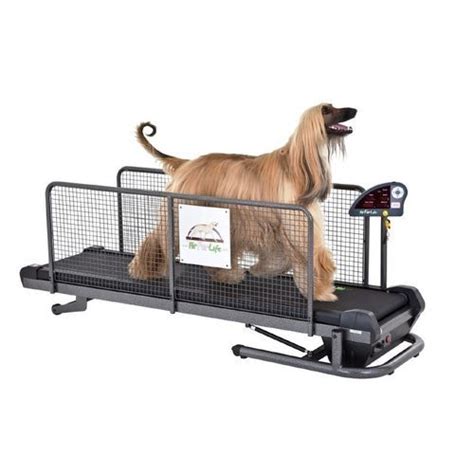 Ветеринарная беговая дорожка для собак - PROFESSIONAL - Fit Fur Life