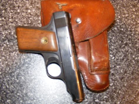 Sauer H38 and Another pistol that walked into the gun shop a month ago.