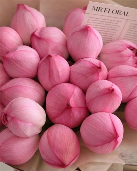 Pin by ♡ on Flowers. | Flower therapy, Flowers bouquet gift, Flower ...