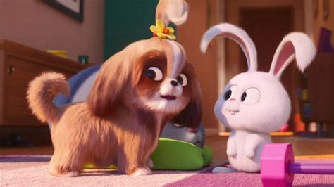 Und wieder ein neuer Charakter-Trailer zu "Pets 2" erschienen ...