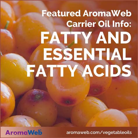 Essential Fatty Acids | AromaWeb