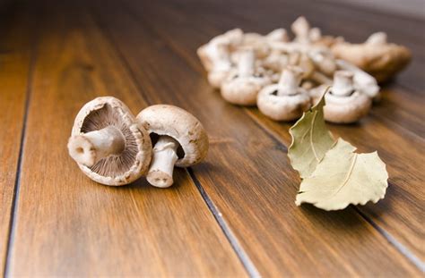 รูปภาพMiconido – เลือกดูภาพถ่ายสต็อก เวกเตอร์ และวิดีโอ16 | Adobe Stock