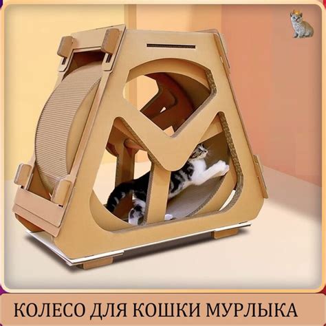 Колесо для кошки Мурлыка - купить с доставкой по выгодным ценам в ...