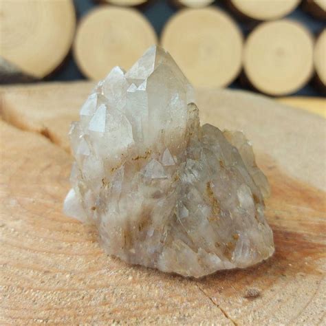 Citrin Cluster Heilstein