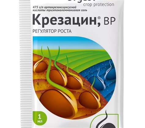 Корневая гниль у огурцов: причины, чем лечить и как бороться