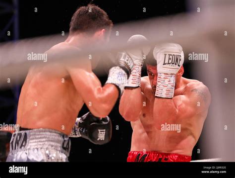 WBC Welter Weight Silver Interim Florian Marku vs Miguel Parra Stock ...
