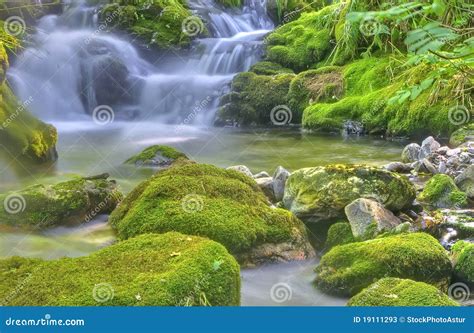 Pure Nature. Stock Photos - Image: 19111293