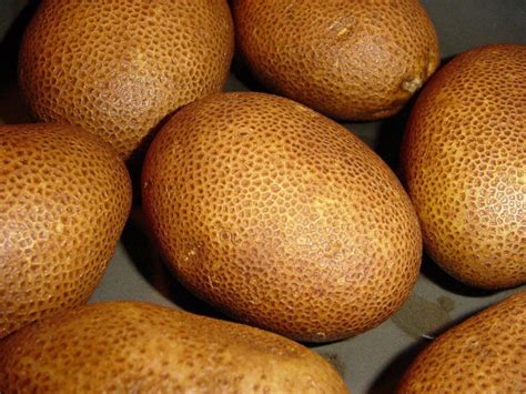Купить клубни семенного картофеля в Краснодарском крае – доставка ...