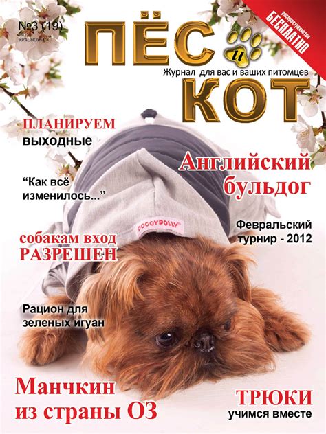 Журнал про собак (70 фото) - картинки sobakovod.club