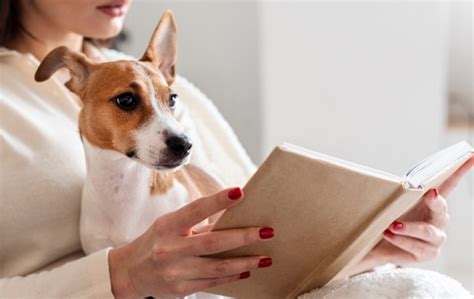 Книги про котів та собак - добірка для дорослих до Дня ветеринара 2023