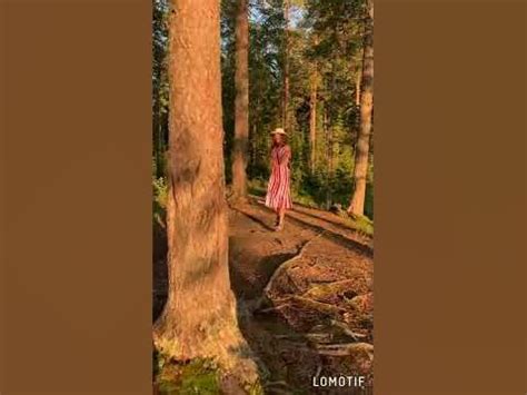 Карельское лето. Красота и любовь#Карелия #отдыхвкарелии - YouTube