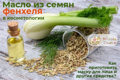 Масло фенхеля: мощные целебные и косметические возможности