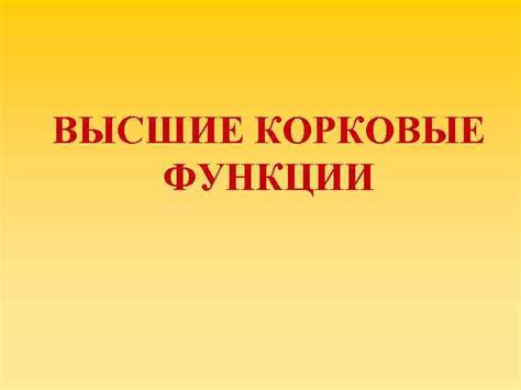 ВЫСШИЕ КОРКОВЫЕ ФУНКЦИИ Корковые поля Первичные поля