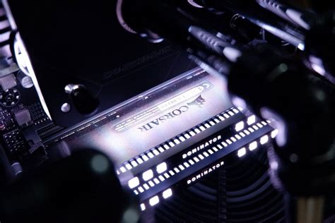 Zeaginal V2 » builds.gg