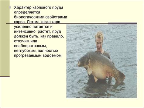 Промысловые рыбы - online presentation