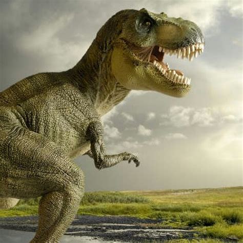 Dino LP - YouTube