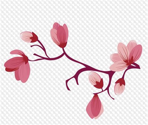 55 PNG, Сакура на прозрачном фоне