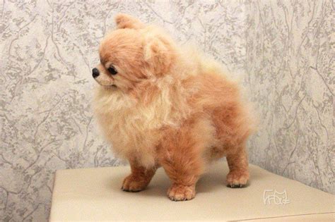 Marylin Beaven adlı kullanıcının felted animals panosundaki Pin