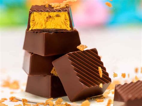 Best Chocolate Supplier in UAE | Lee Chocolate Distributor
