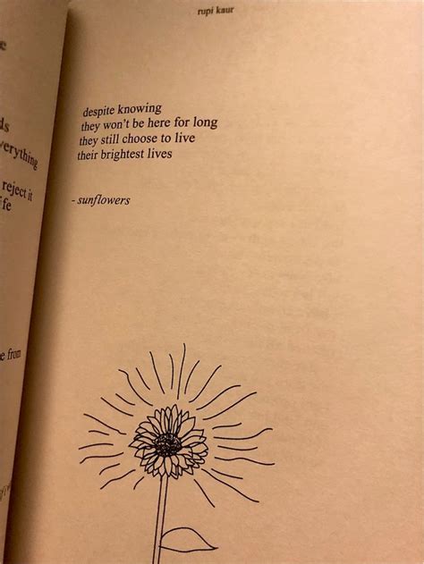 #rupikaur | Rupi kaur, Sunflower