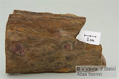 Rula - Zbyslav