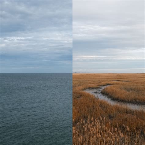 Eastern Seaboard | Hakusan Creation