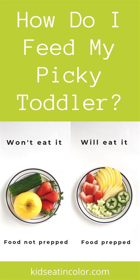 How do I feed my picky toddler? Child nutrition advice for fussy eaters | Picky toddler meals ...
