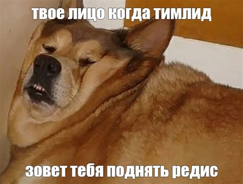 Мем: "твое лицо когда тимлид зовет тебя поднять редис" - Все шаблоны ...