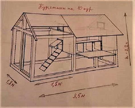 Зимний курятник: 10 чертежей, чтобы сделать самому (с размерами)