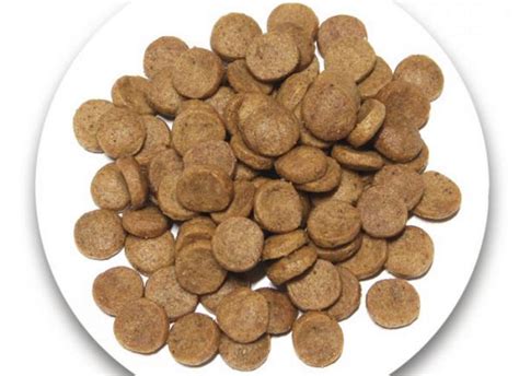 Корм Натурес Бест (Natures Best) для кошек | состав, цена, отзывы