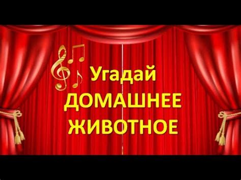 Игра "Угадай домашнее животное" для детей - YouTube