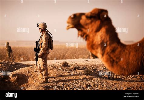 Camel corps -Fotos und -Bildmaterial in hoher Auflösung – Alamy