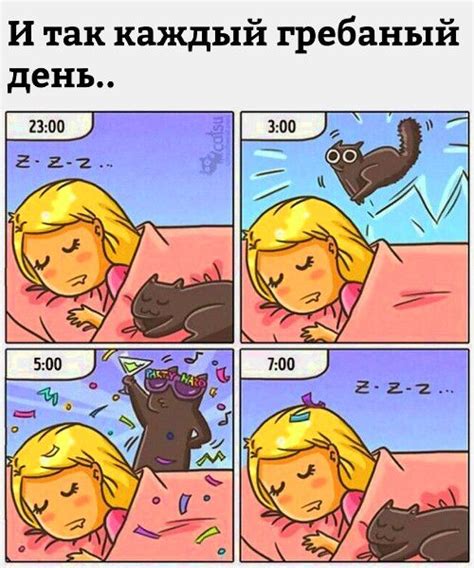 И так каждый грёбаный день - кот не дает спокойно спать ночью | Прикол ...