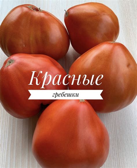 КРАСНЫЕ ГРЕБЕШКИ | Томатная Коллекция - Редкие и эксклюзивные семена ...