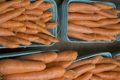 Обрезка моркови и свеклы для хранения: Как обрезать морковь на хранение ...