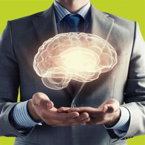 Brain Support - Biostile Shop