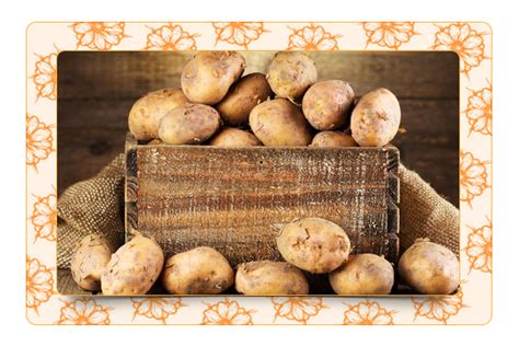 Хранение картофеля | Seedspost.ru