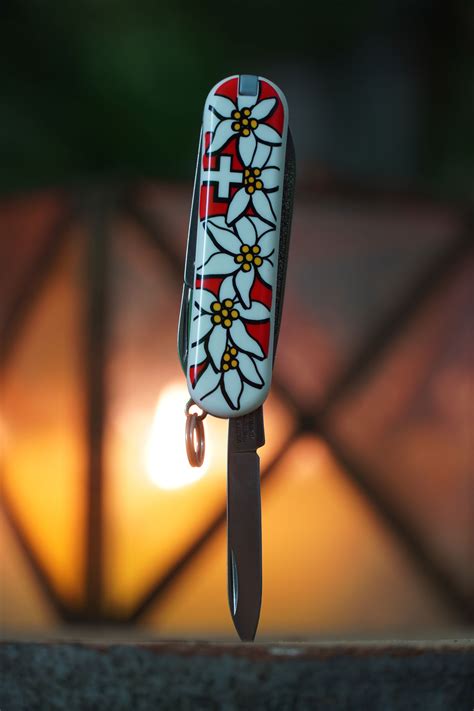Victorinox Classic – Messer Porträt inkl. vieler Outdoorfotos