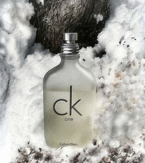 CK One Calvin Klein Parfum - ein es Parfum für Frauen und Männer 1994