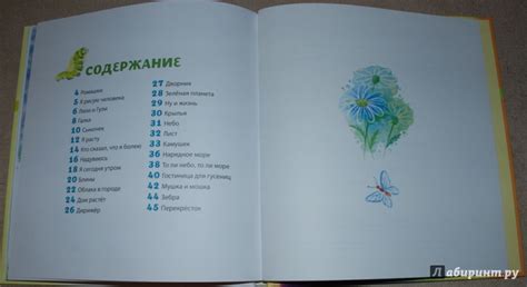 Книга: Ромашки - Анастасия Орлова. Купить книгу, читать рецензии | Лабиринт