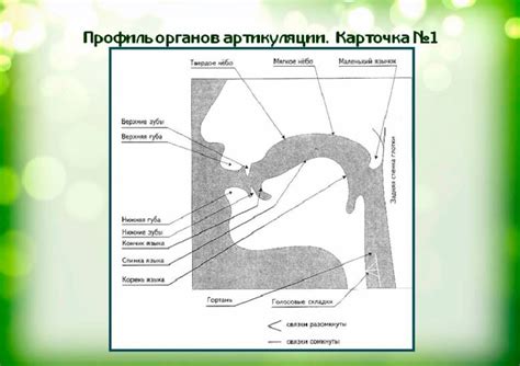 Вправа: Артикуляционные профили звуков и нарушения звукопроизношения.