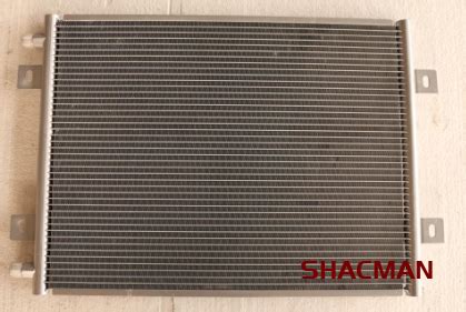 DZ13241824330 F3000前置冷凝器 F3000 Pre condenser – 陕件侠（SHACPARTS）