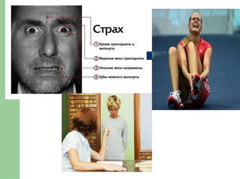 Эмоции и чувства, их виды - презентация онлайн