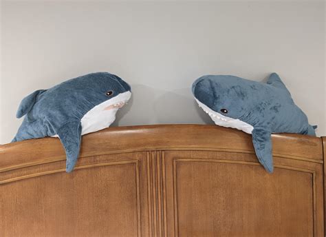 they're in love : r/BLAHAJ
