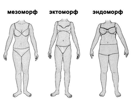 Вот как определить тип телосложения эктоморф, мезоморф и эндоморф у ...