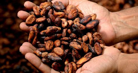 Solpside - Ceremonia de Cacao