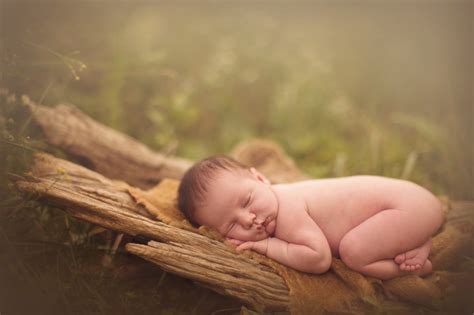 RATES — Little Bloom Studio