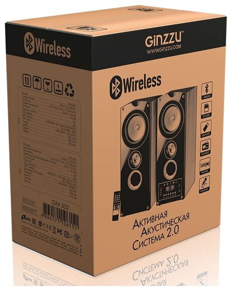 Акустическая система Ginzzu GM-302, стационарная — купить в интернет ...