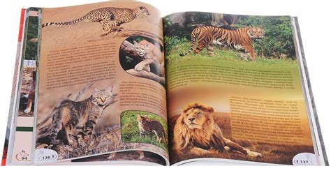 Книга: Энциклопедия о кошках и собаках. Автор: Соколова Ярослава ...