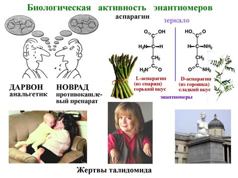 Биоорганическая химия - online presentation